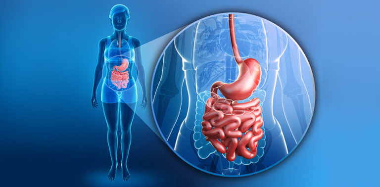 Gastro- Enterologie (maag- darmziekten) - Medisch Centrum Wijnegem